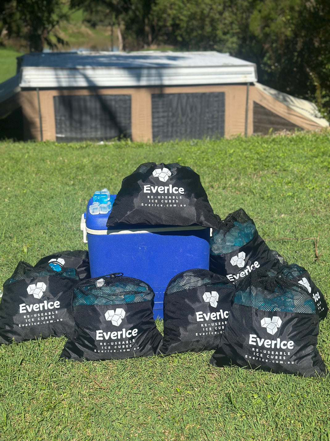 The Goods – EverIce