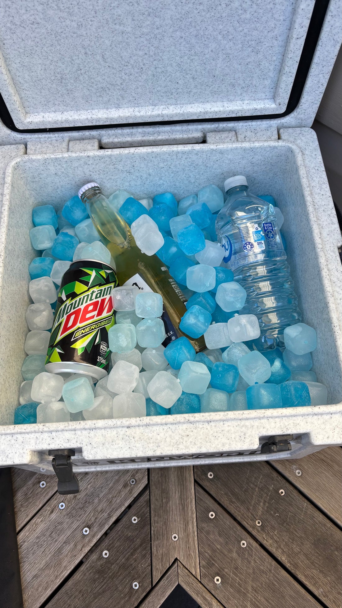 Everice Re-Useable Ice Cubes – EverIce